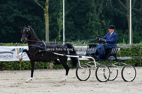 Zoek je foto op Oypo