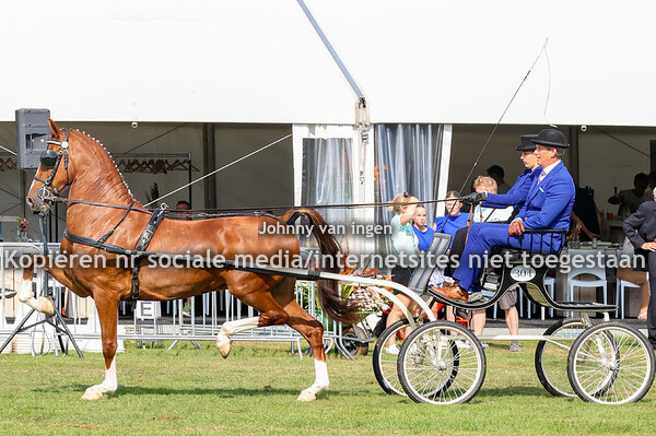 Zoek je foto op Oypo