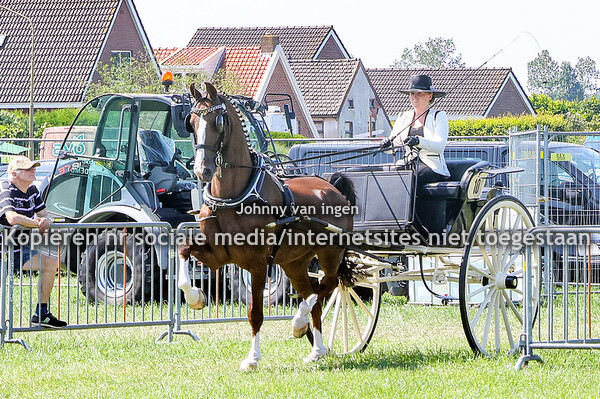 Zoek je foto op Oypo